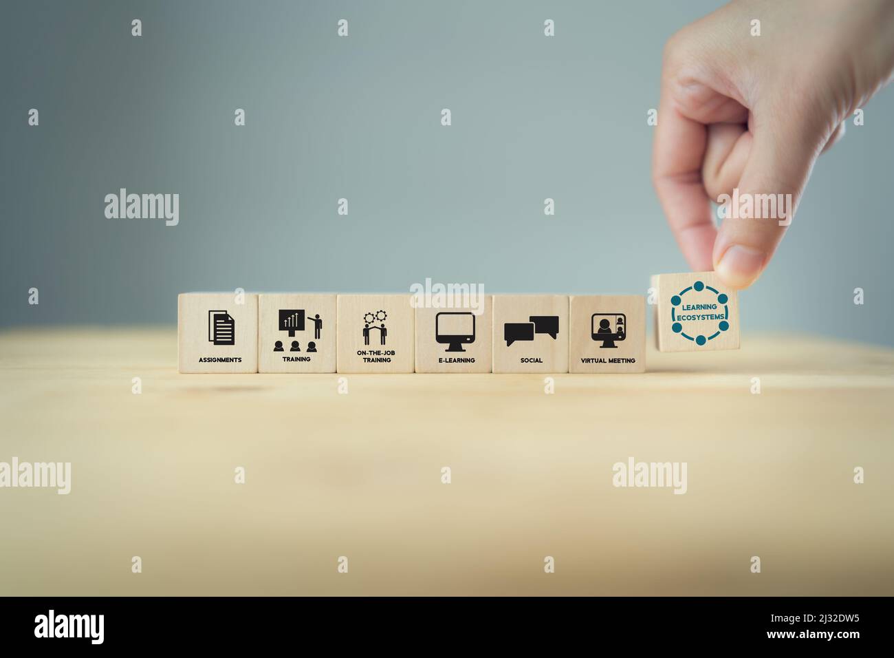 Learning ecosystems concept. Building a blended learning ecosystems ...