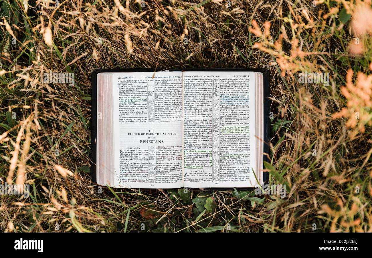 The Christian Holy Bible open in a warm, sunny field to the book of ...