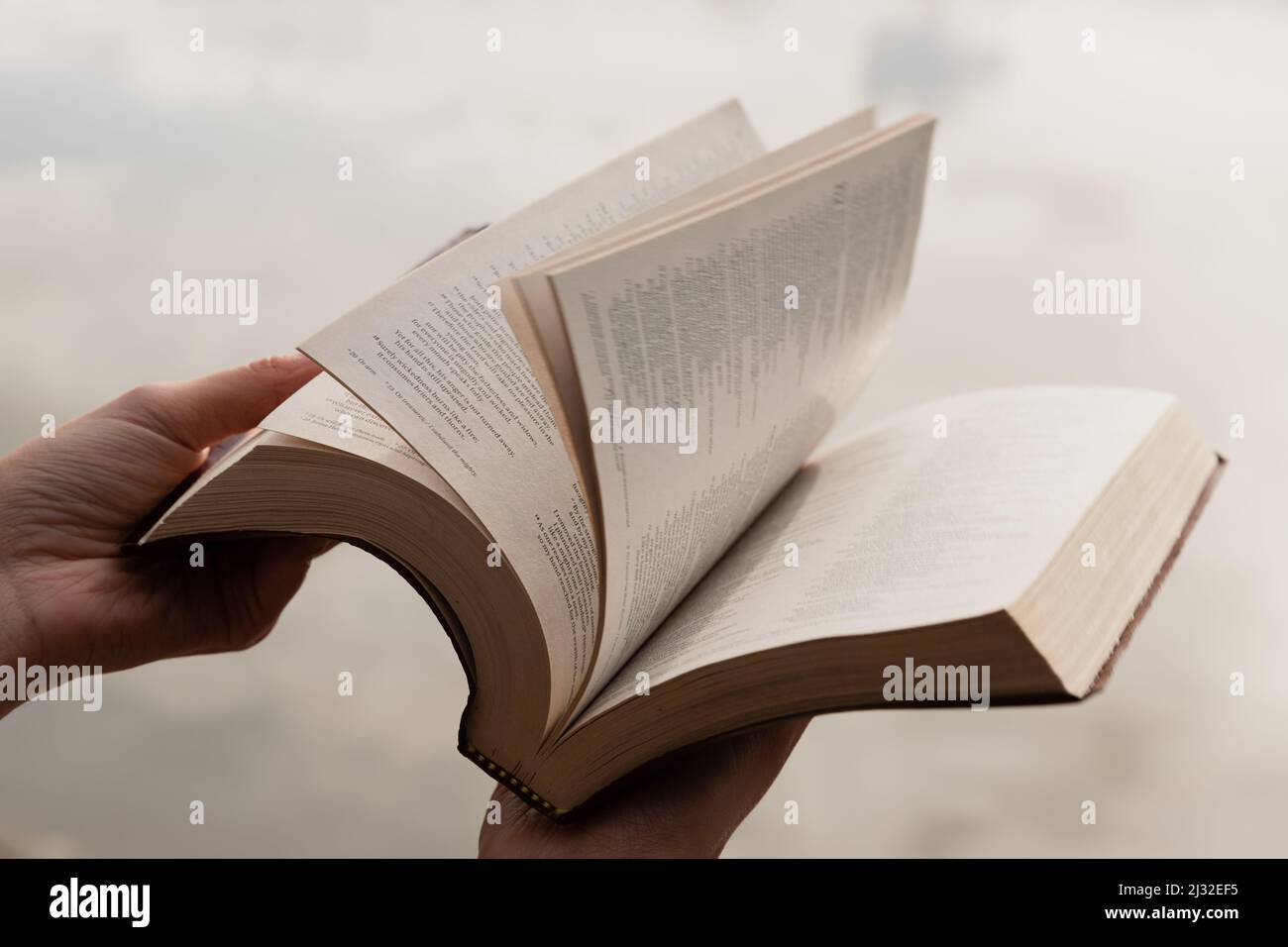 Flipping through pages of an old vintage bible Stock Photo - Alamy Flipping through pages of an old vintage bible Stock Photo - Alamy