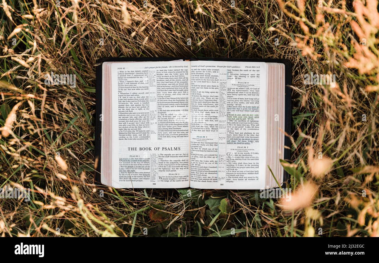 The Christian Holy Bible open in a warm, sunny field to the old ...