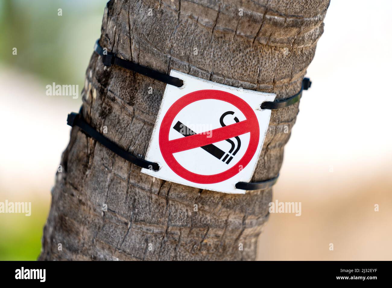 No smoking sign on a palm tree trunk, close-up. High quality photo ...