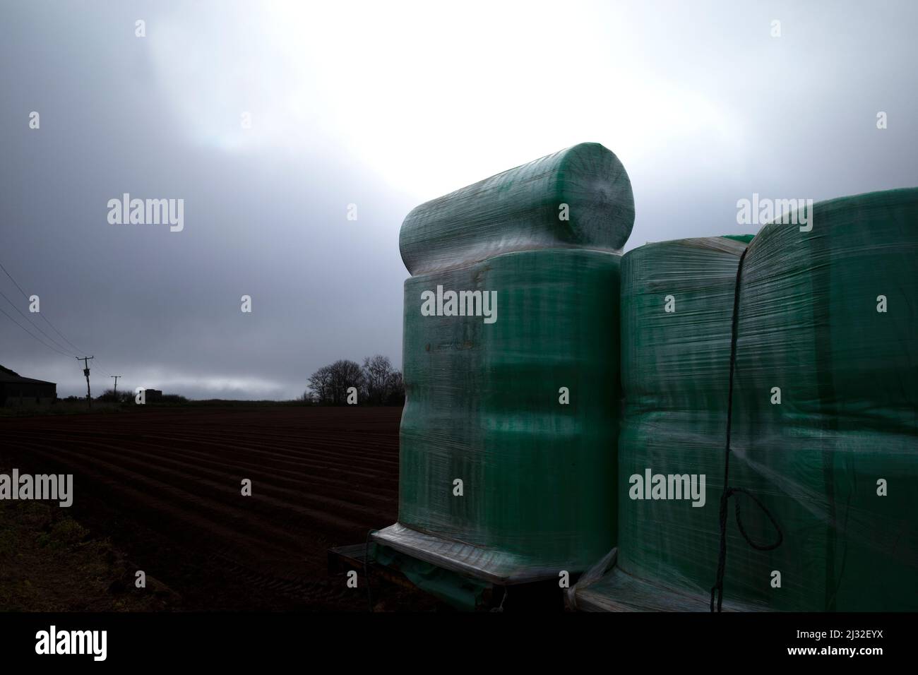 Fleece used to cover crops hi-res stock photography and images - Alamy
