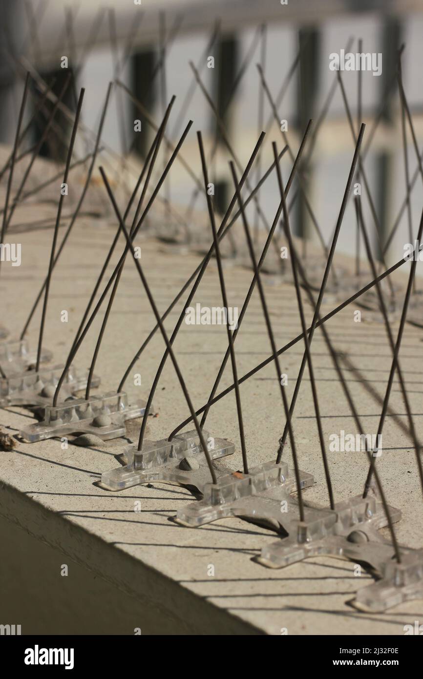 Sharp bird control wires sticking out in a dangerous fashion Stock ...