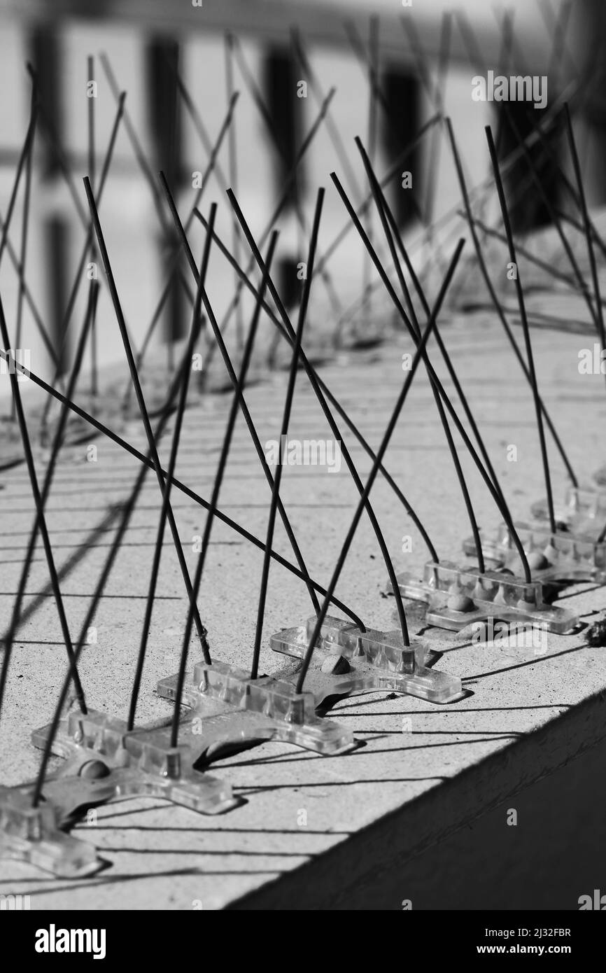 Sharp bird control wires sticking out in a dangerous fashion Stock ...