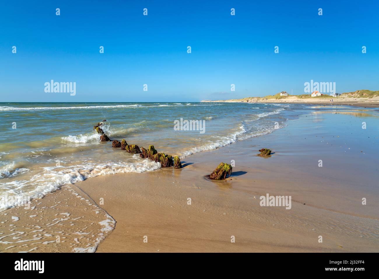 Groyne on the beach at Løkken, North Jutland, Jutland, Denmark Stock ...