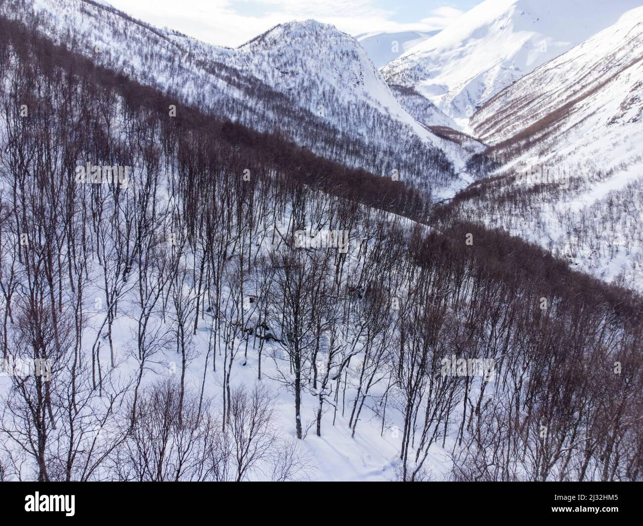 Beiarn 20220404.The area around the casualty in Graataadalen. On 18 ...
