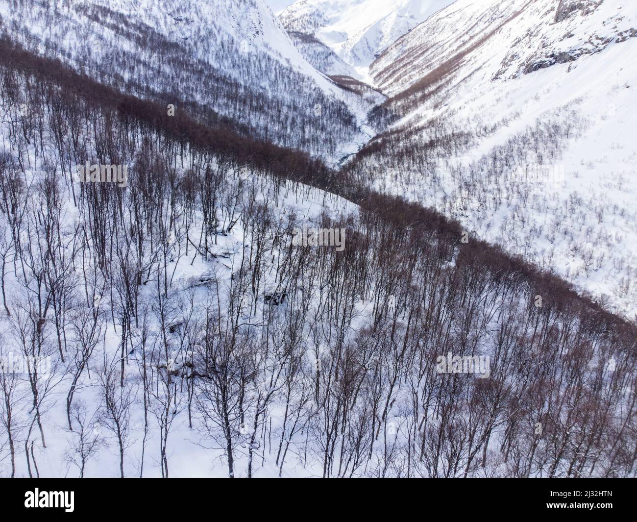 Beiarn 20220404.The area around the casualty in Graataadalen. On 18 ...
