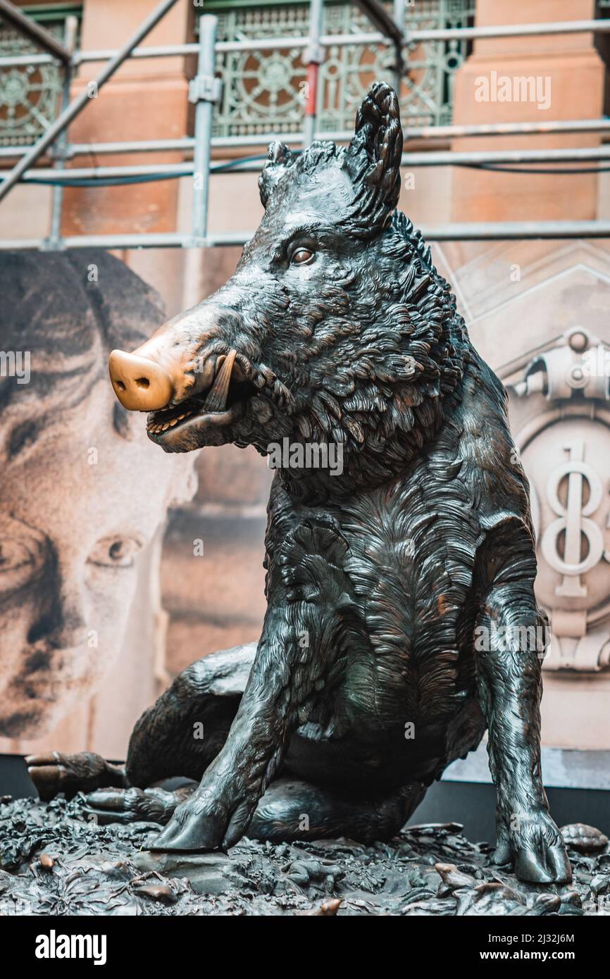 A pig statue in the city of Sydney, Australia Stock Photo - Alamy