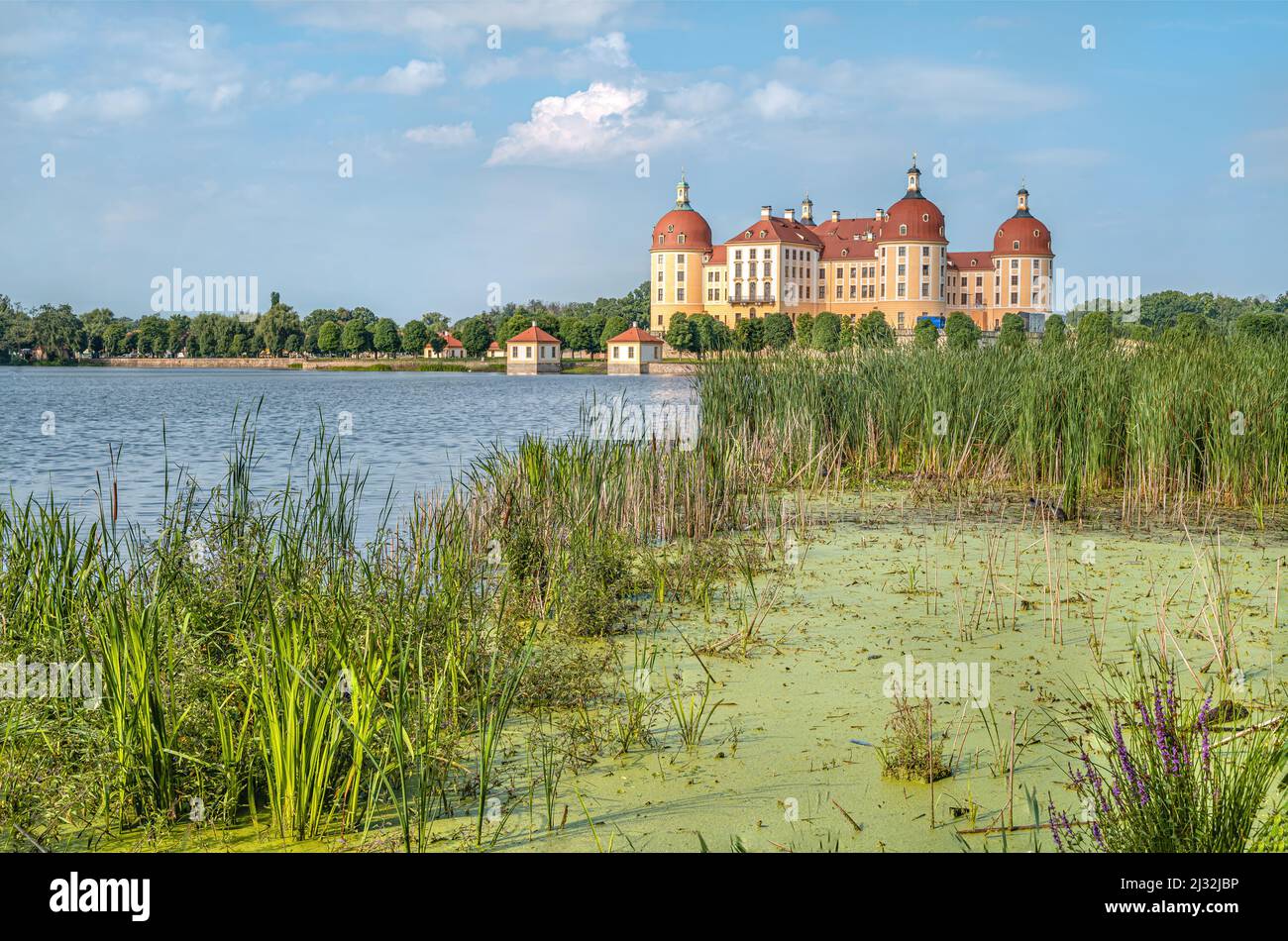 View of Moritzburg Castle, Saxony, Germany Stock Photo - Alamy