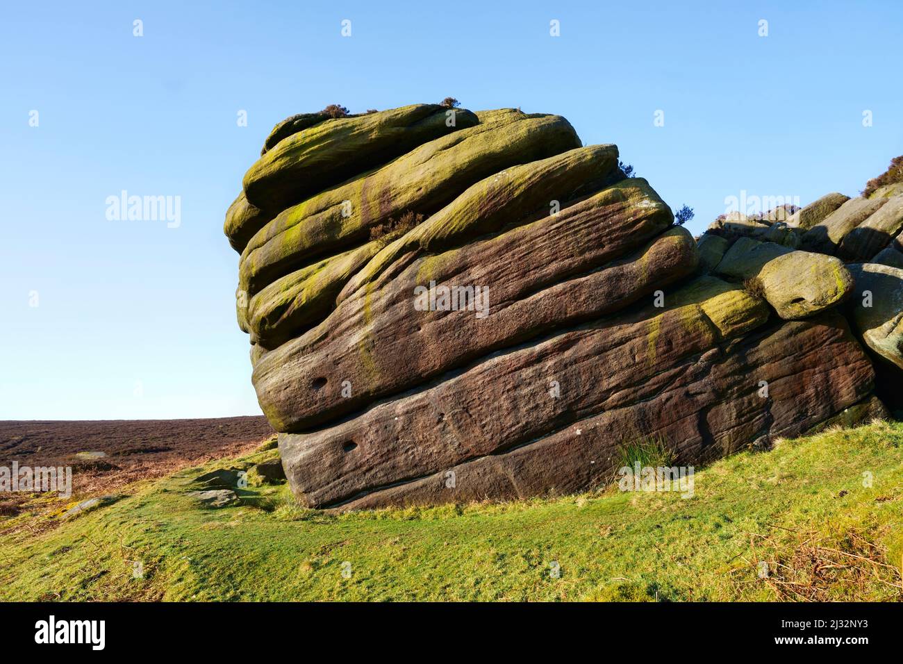 Algae covered multi-coloured gritstone outcrop known as the Cowper ...