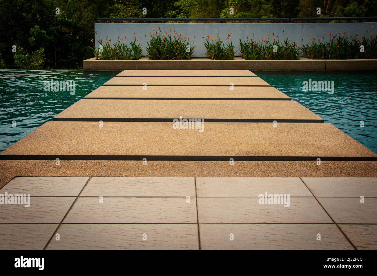 View of swimming poll with pathway and beautiful nature background ...