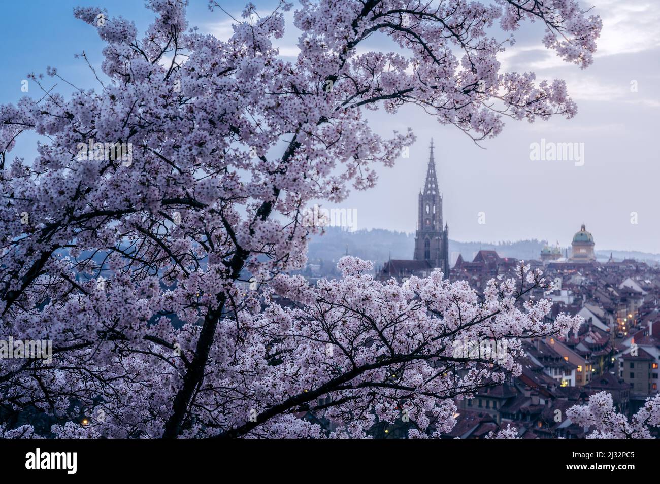 spring in Bern Stock Photo - Alamy