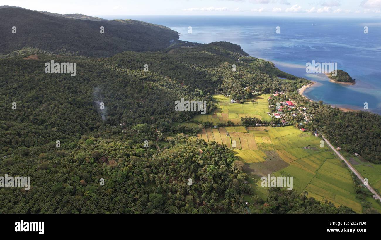 The beautiful aerial view of the sea and the green shoreline with ...
