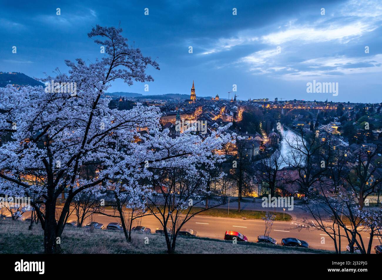 view from Rosengarten over the historic center of Bern during cherry ...