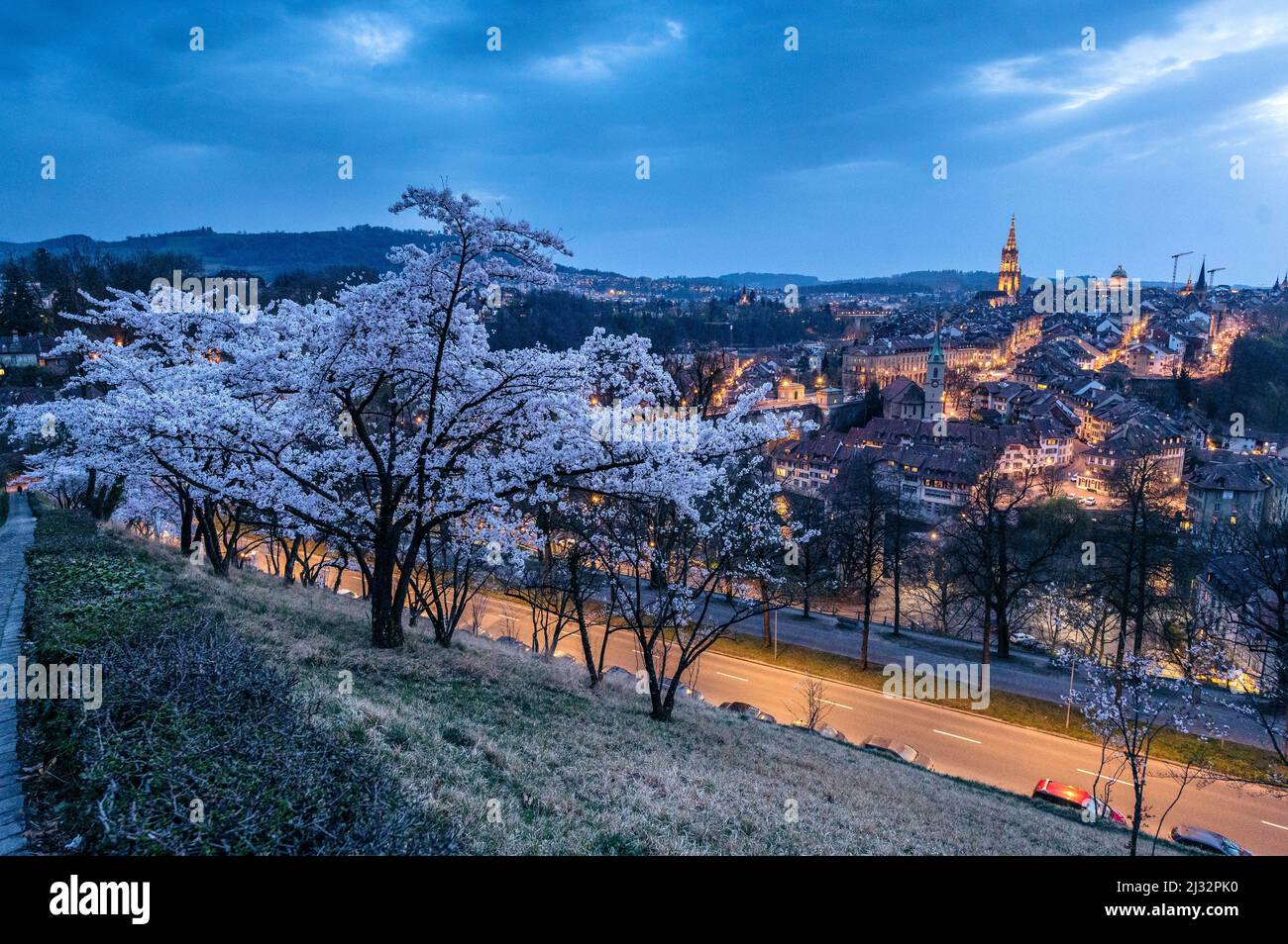 view from Rosengarten over the historic center of Bern during cherry ...
