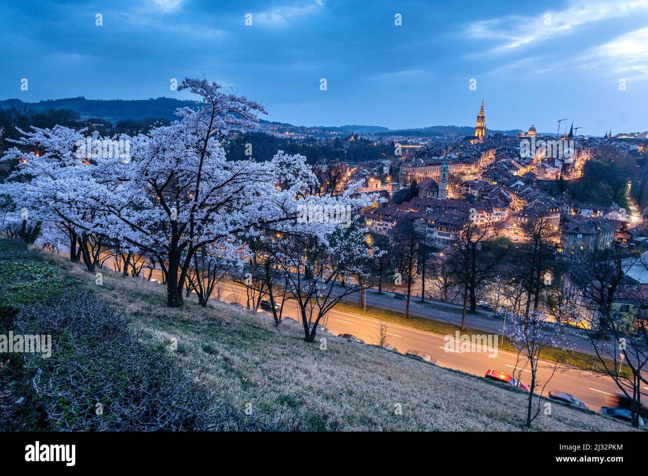 view from Rosengarten over the historic center of Bern during cherry ...