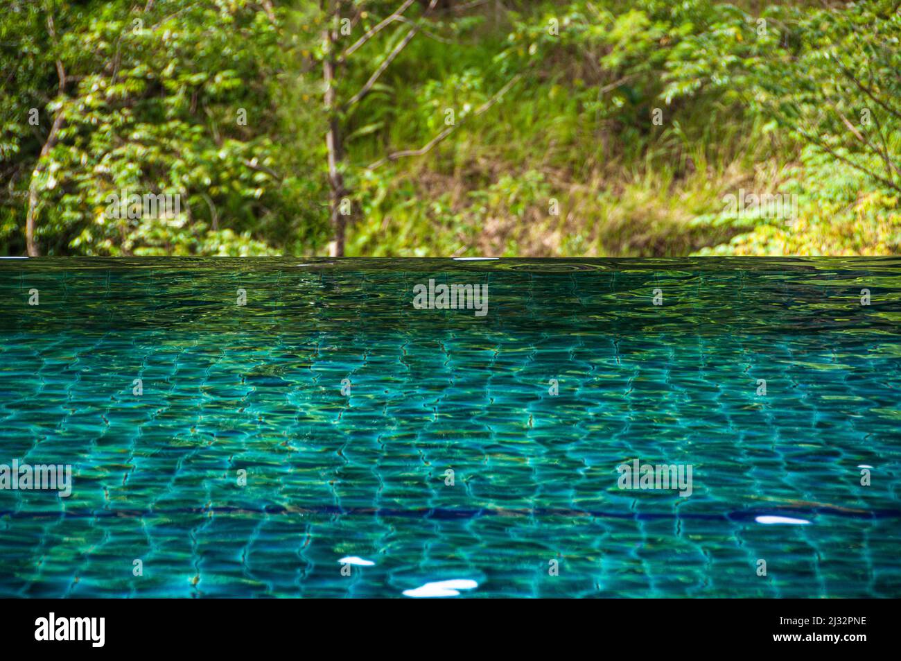 View of swimming poll with beautiful nature background. Vacation ...