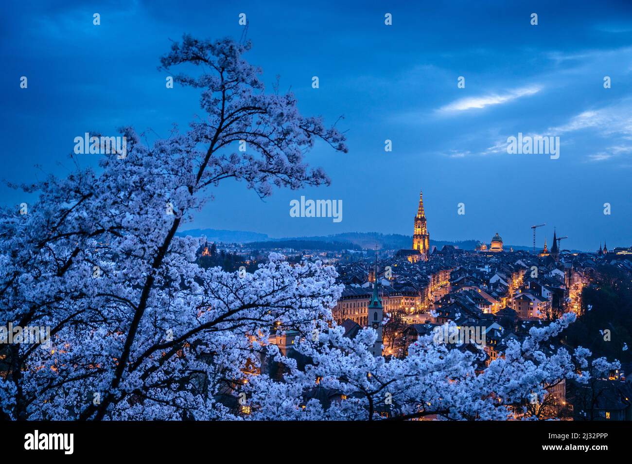view from Rosengarten over the historic center of Bern during cherry ...