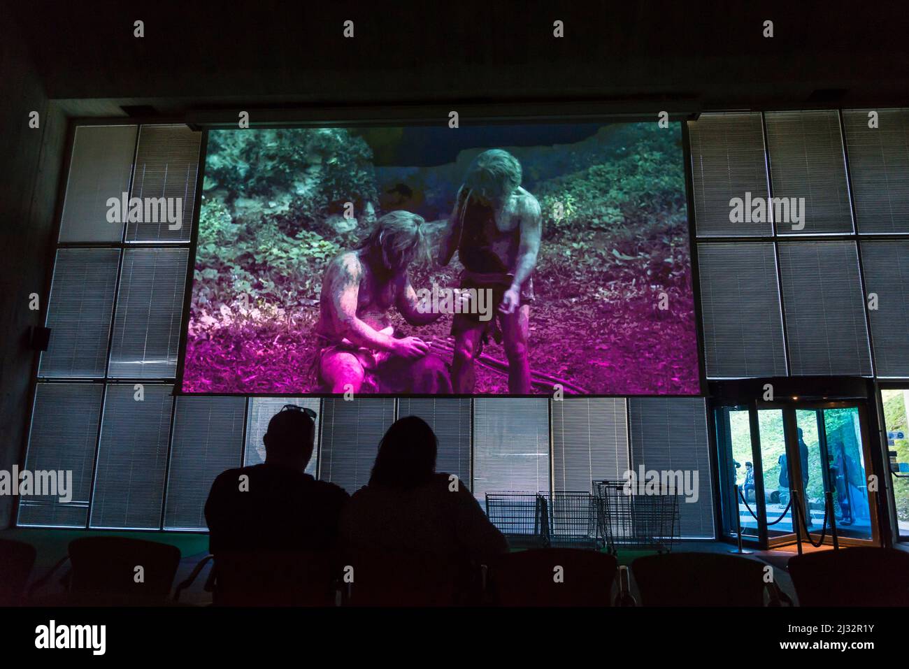 Introductory Film about caveman life in the Neanderthal Museum in ...