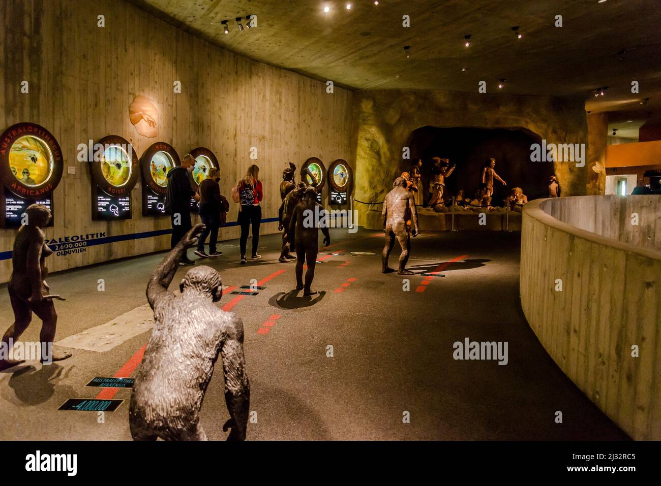 Primates, Neanderthal Museum in Krapina, located near one of Europe's ...