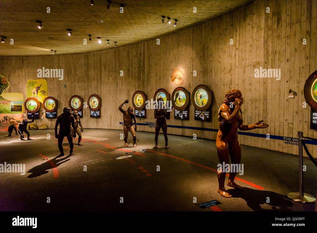 Primates, Neanderthal Museum in Krapina, located near one of Europe's ...