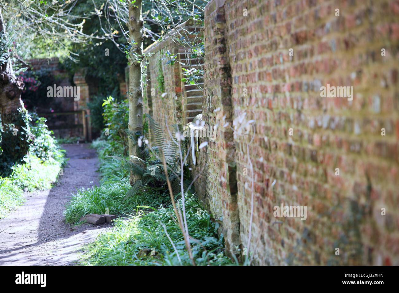 View of one of the old pathways through the walled garden at Warley ...