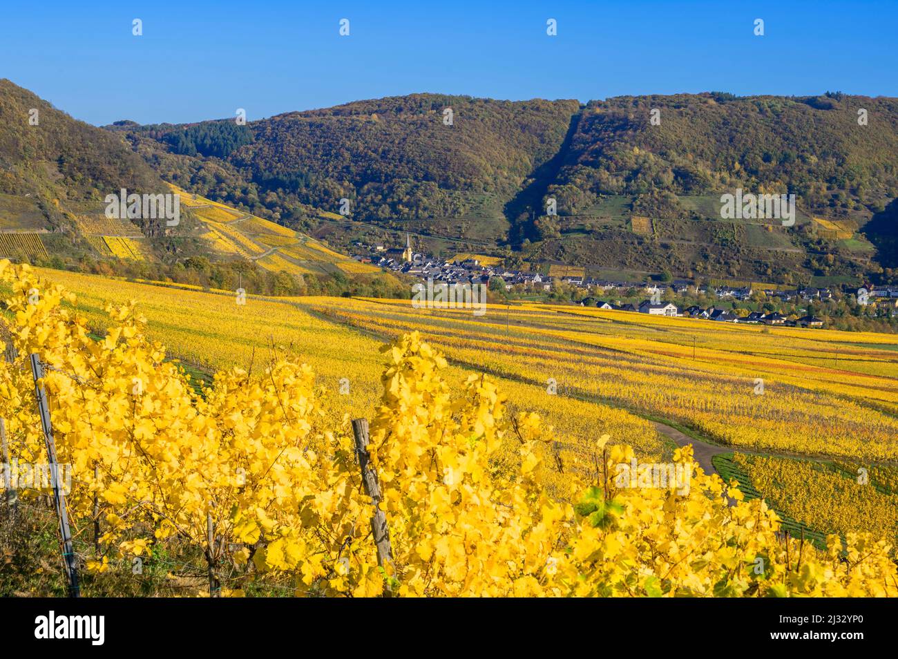 Senheim hi-res stock photography and images - Alamy
