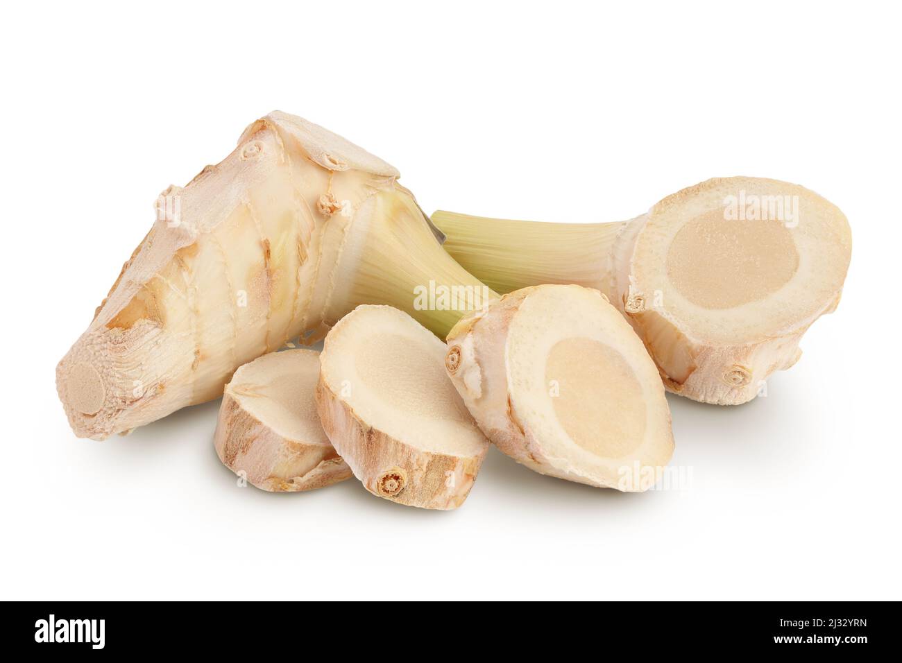 Fresh galangal root with slices isolated on white background with ...