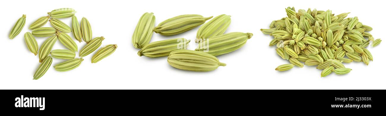 Dried fennel seeds isolated on white background with clipping path. Top ...