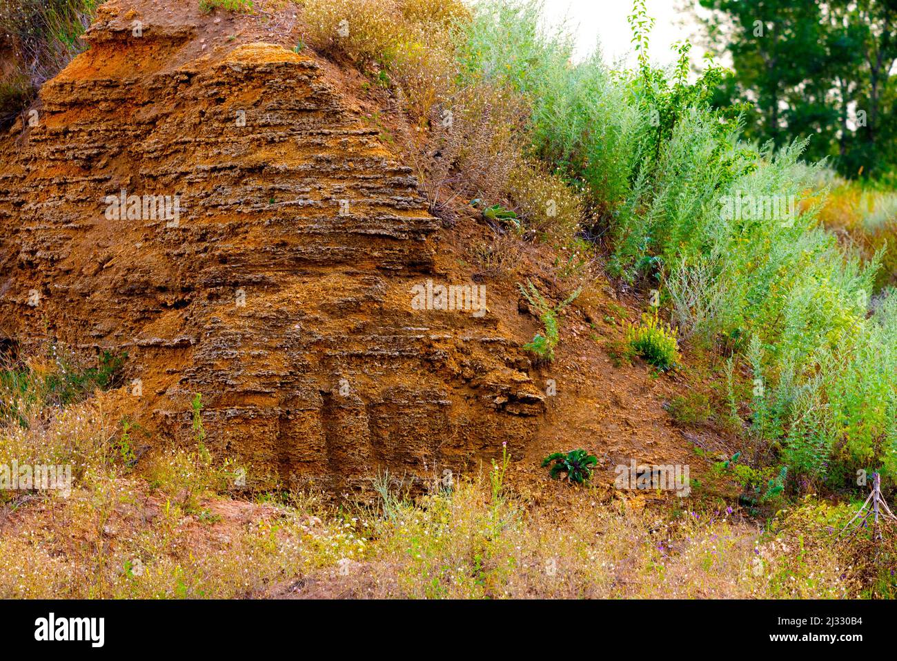 The curb erosion from storms. To indicate the layers of soil and rock ...