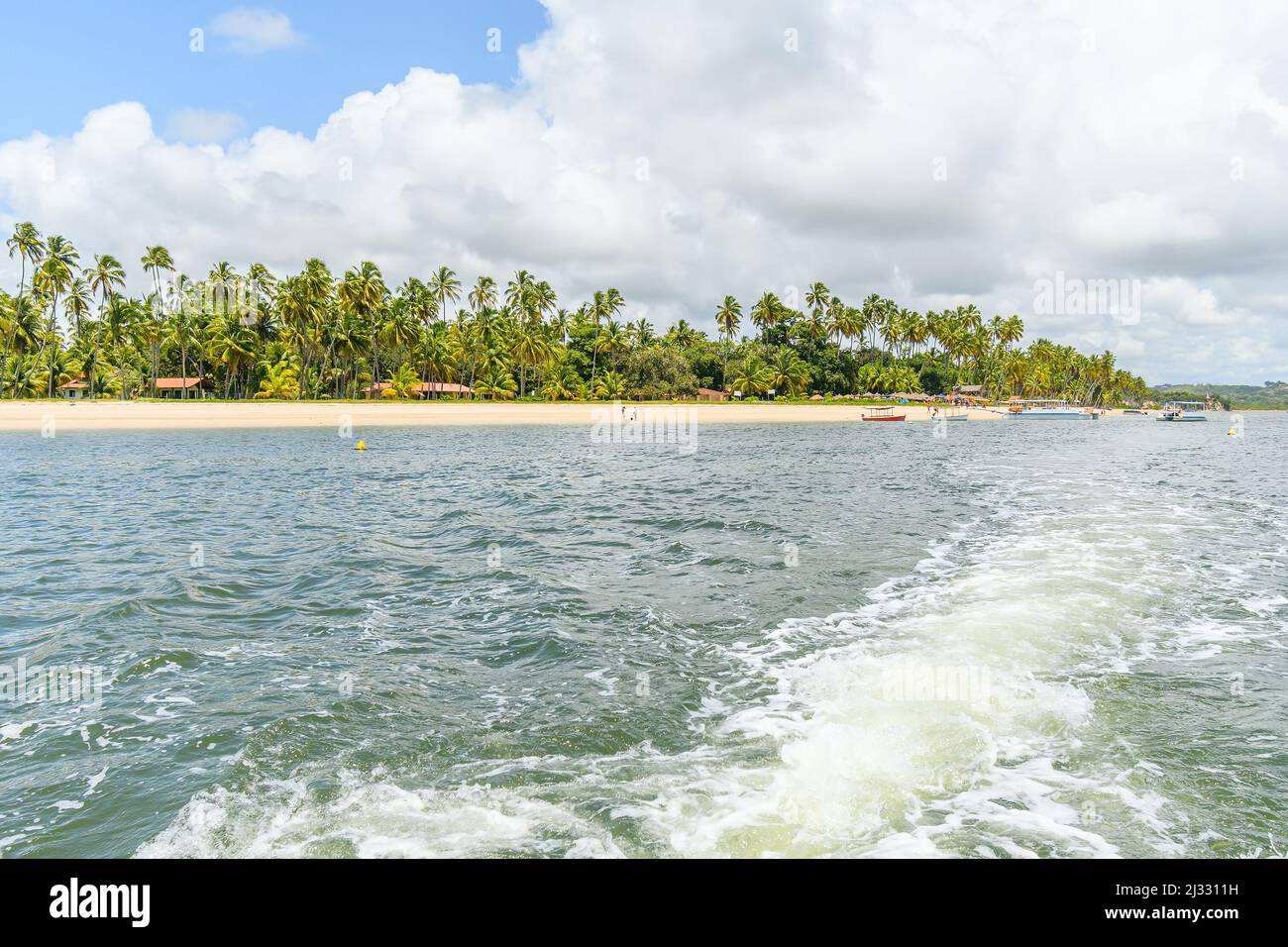 Rams beach hi-res stock photography and images - Alamy