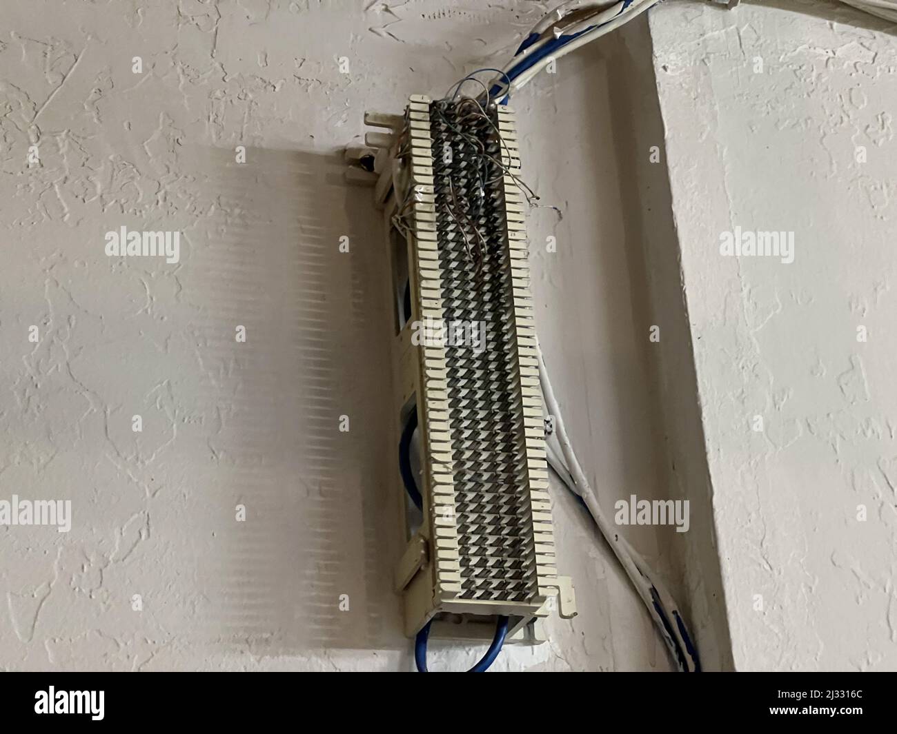 Junction box for CAT5 Ethernet cabling with cables visible, Lafayette ...