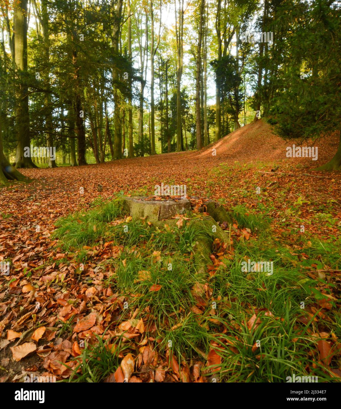 Hainaut enghien hi-res stock photography and images - Alamy