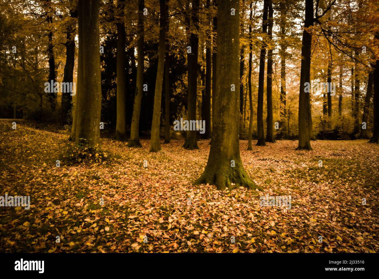 Hainaut enghien hi-res stock photography and images - Alamy