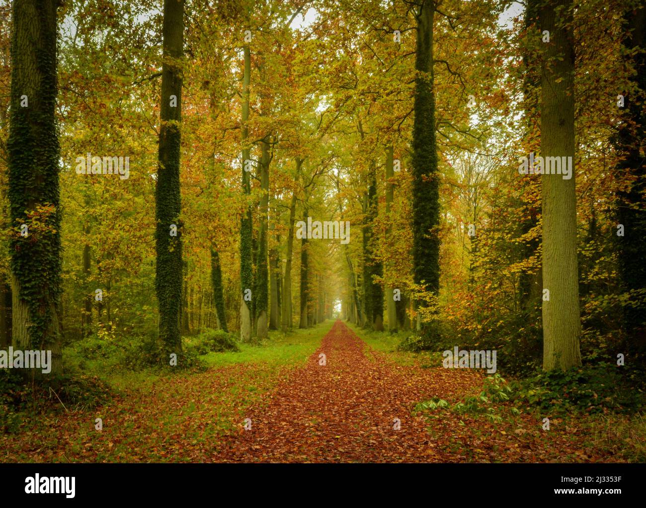 Hainaut enghien hi-res stock photography and images - Alamy