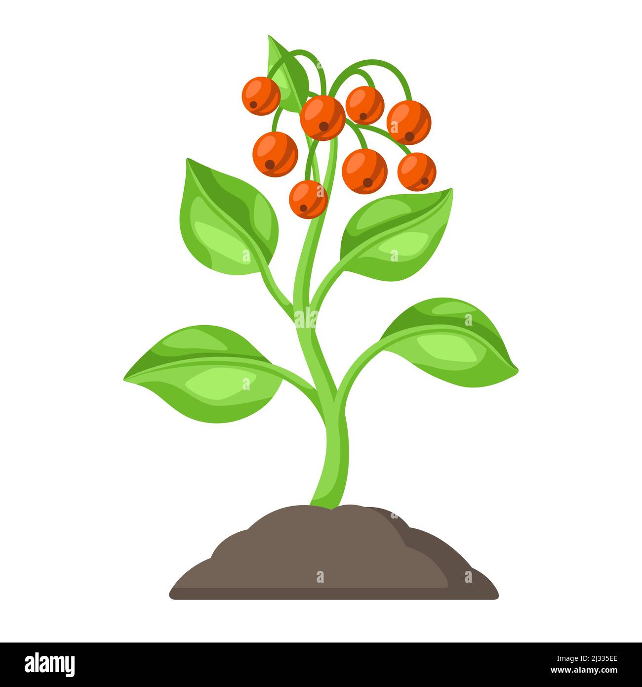 Planting young fruit tree Stock Vector Images - Alamy
