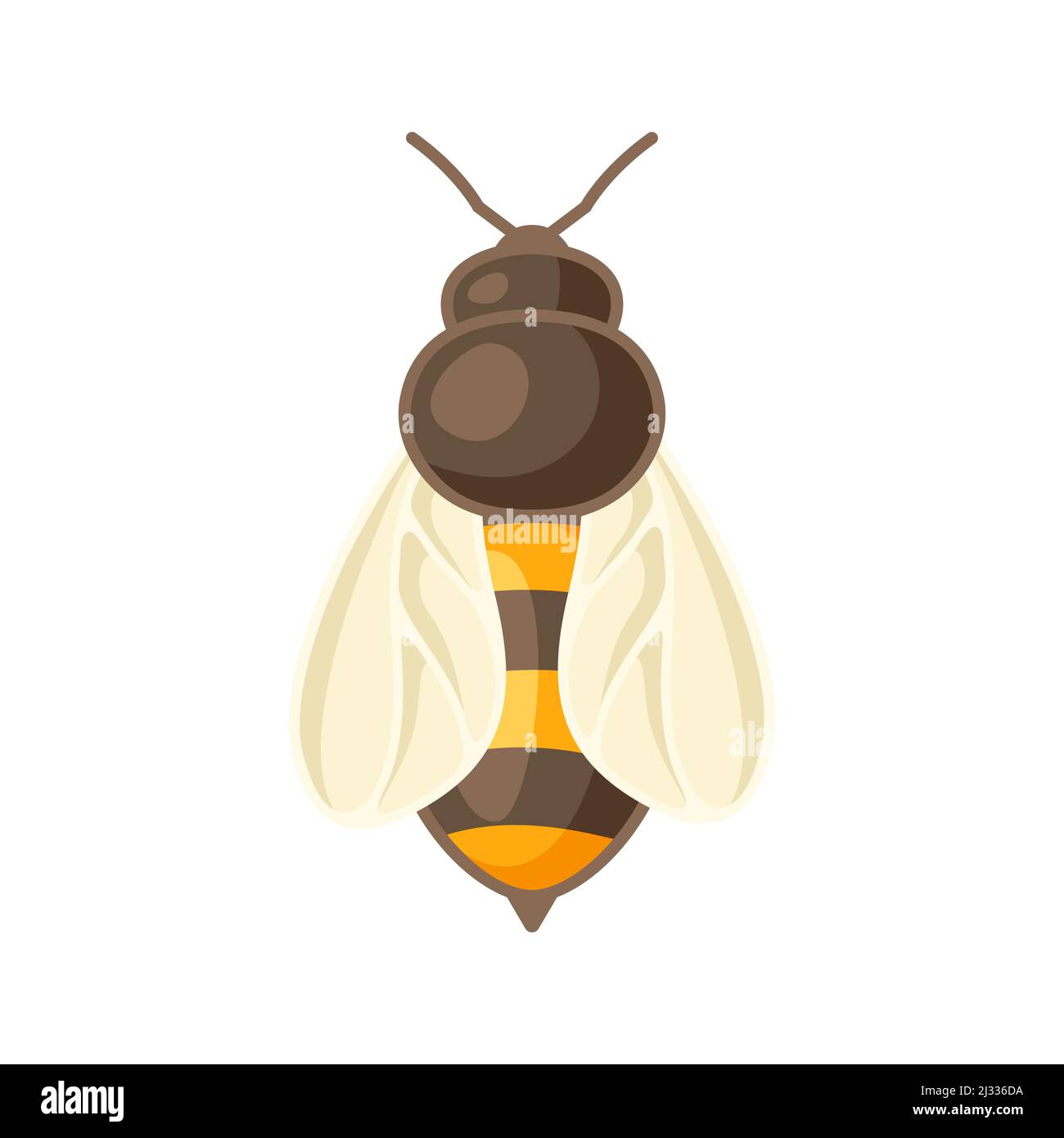 Illustration of honey bee. Image for food and agricultural industry ...