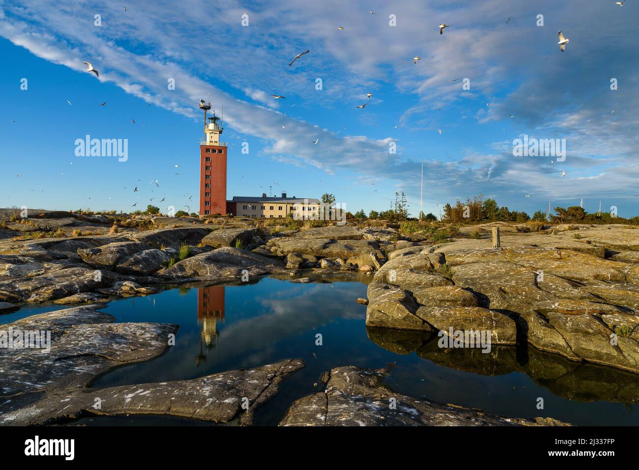Many birds breed on the lighthouse island Kylmaepiphlaja, lighthouse ...