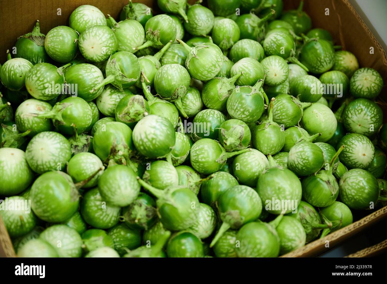 Berlin, Germany. 05th Apr, 2022. Thai eggplants from Moonlight company ...