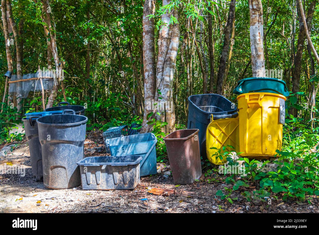 Black blue and yellow trash waste garbage cans in the tropical mexican ...