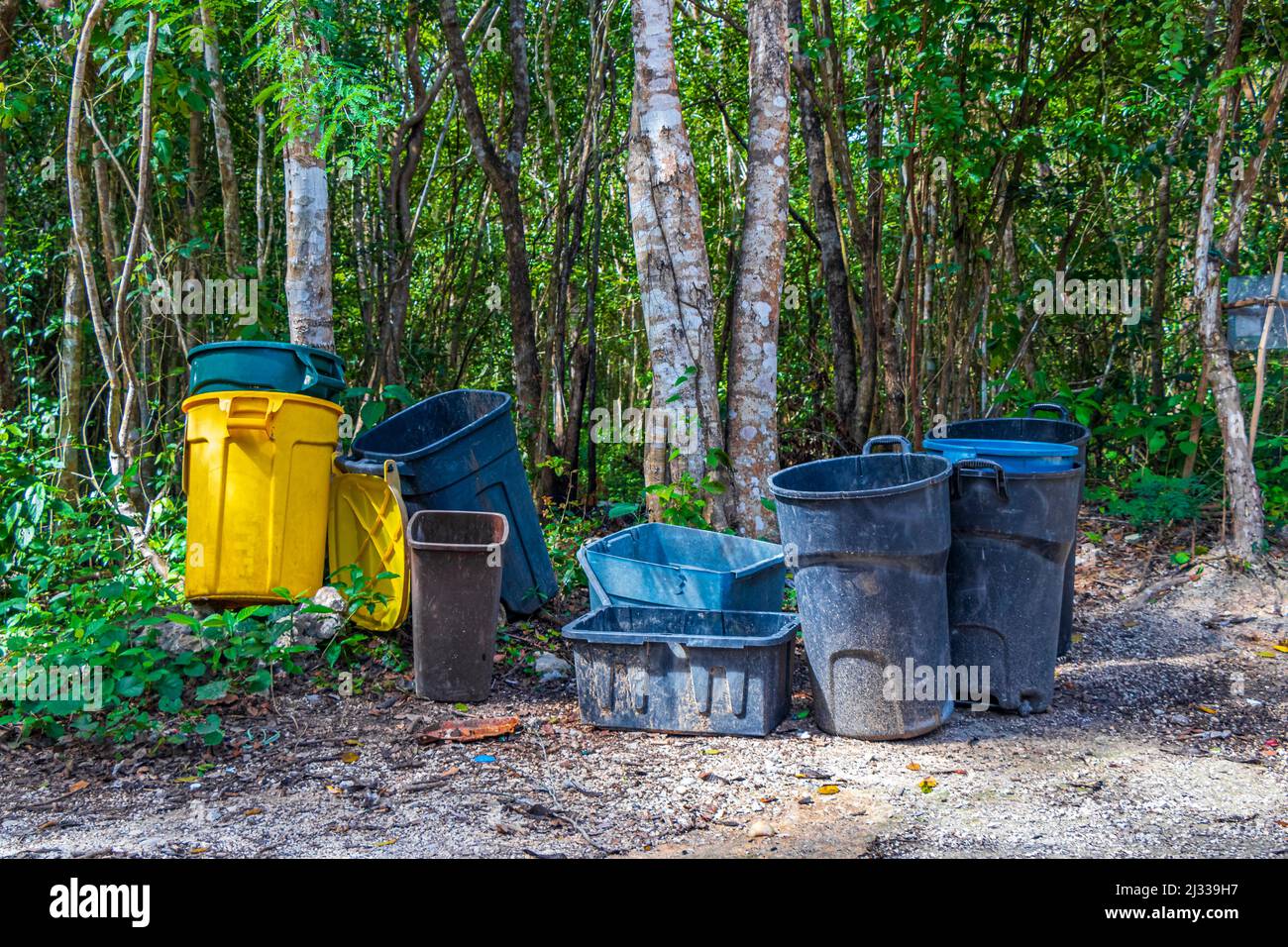 Black blue and yellow trash waste garbage cans in the tropical mexican ...