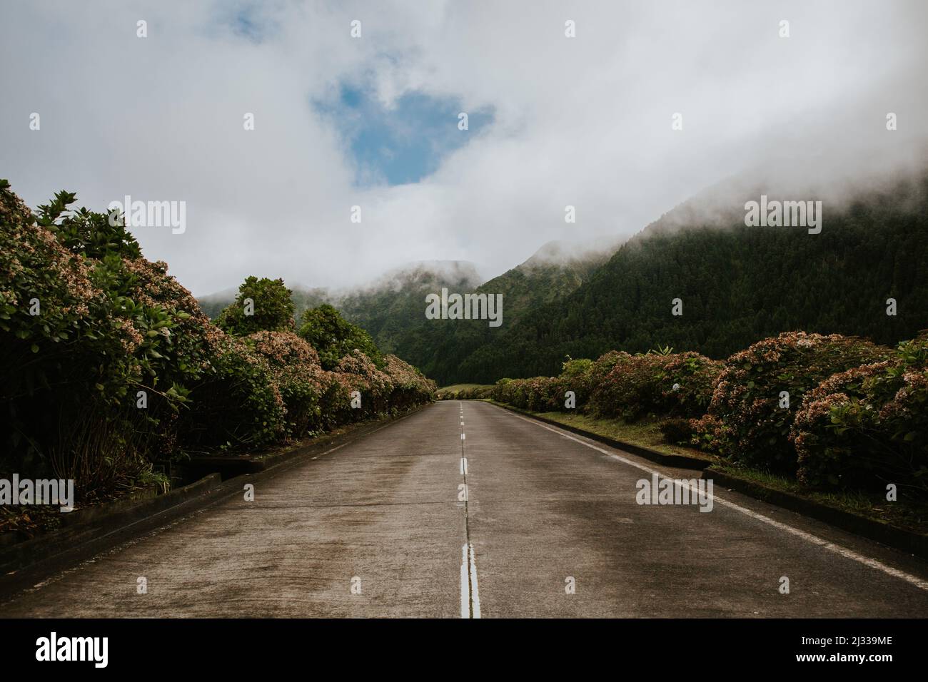 Azorean road at São Miguel Island Stock Photo - Alamy