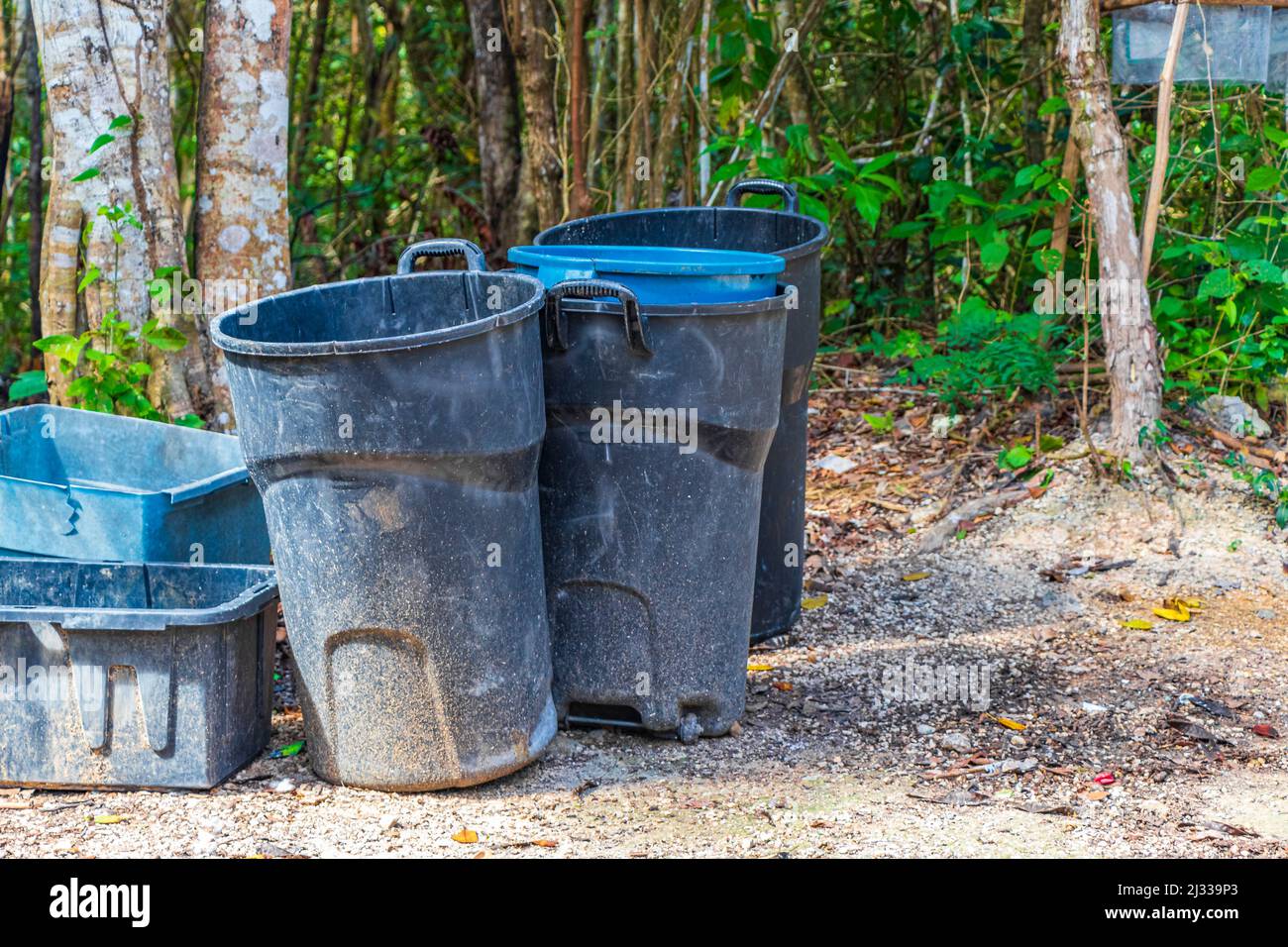 Black blue and yellow trash waste garbage cans in the tropical mexican ...