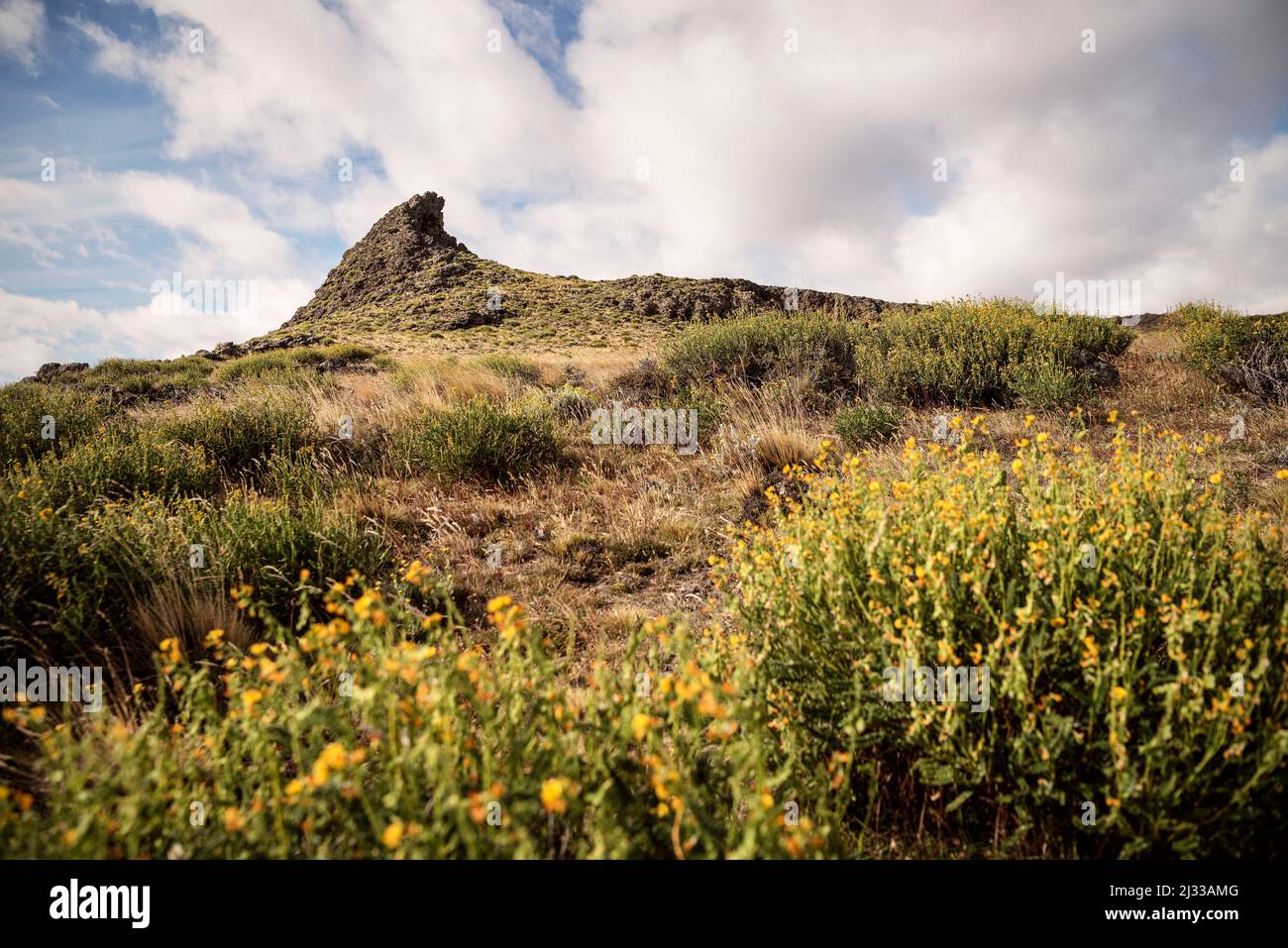 Volcano crater rim in the volcanic field of Pali Aike National Park ...