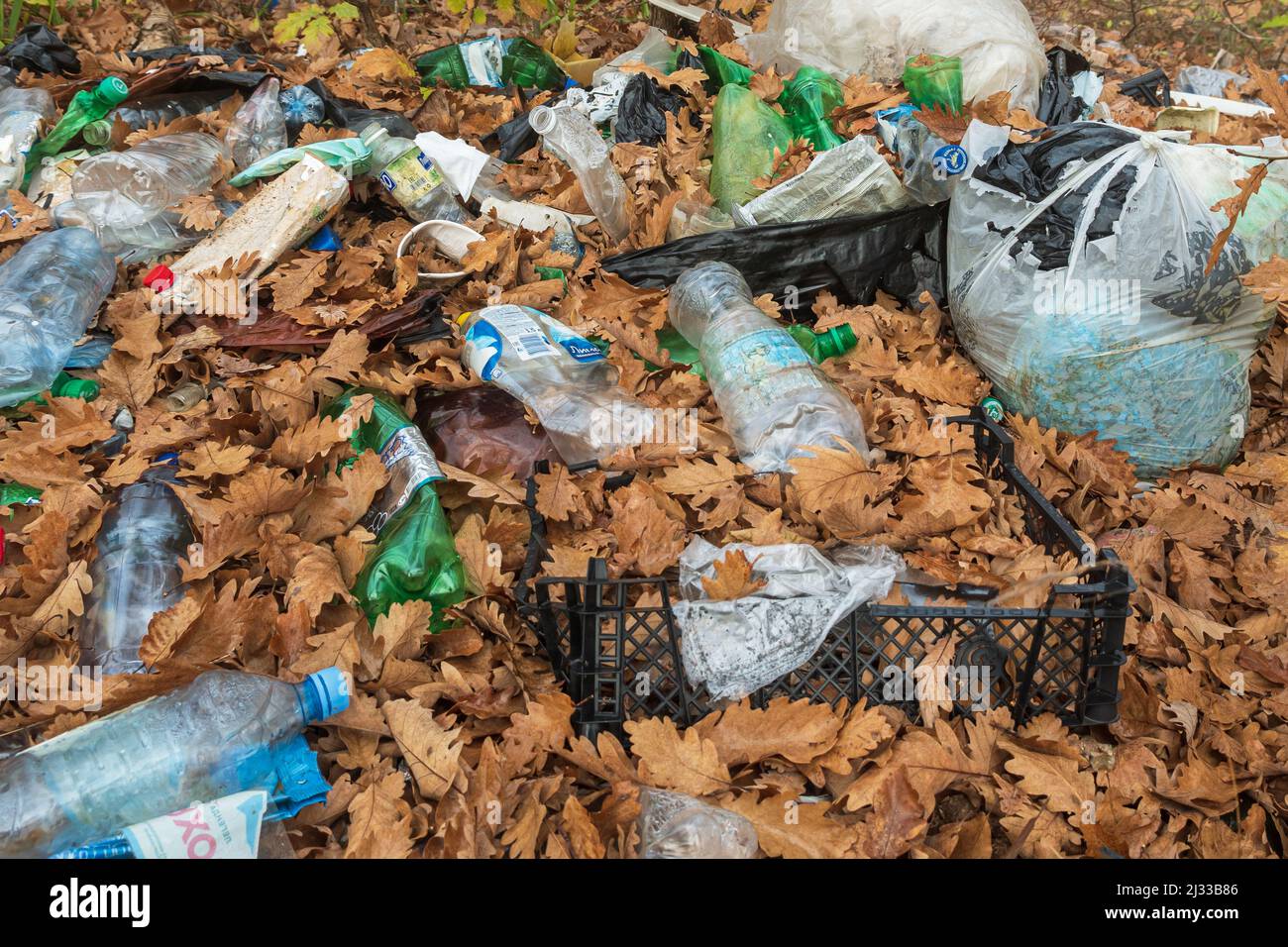 Plastic trash lying in the leaves in the forest. Pollution of the ...