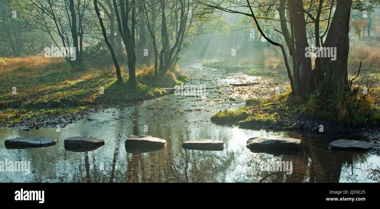 Autumn Stepping Stones across Sher Brook, Sherbrook Valley, Cannock ...