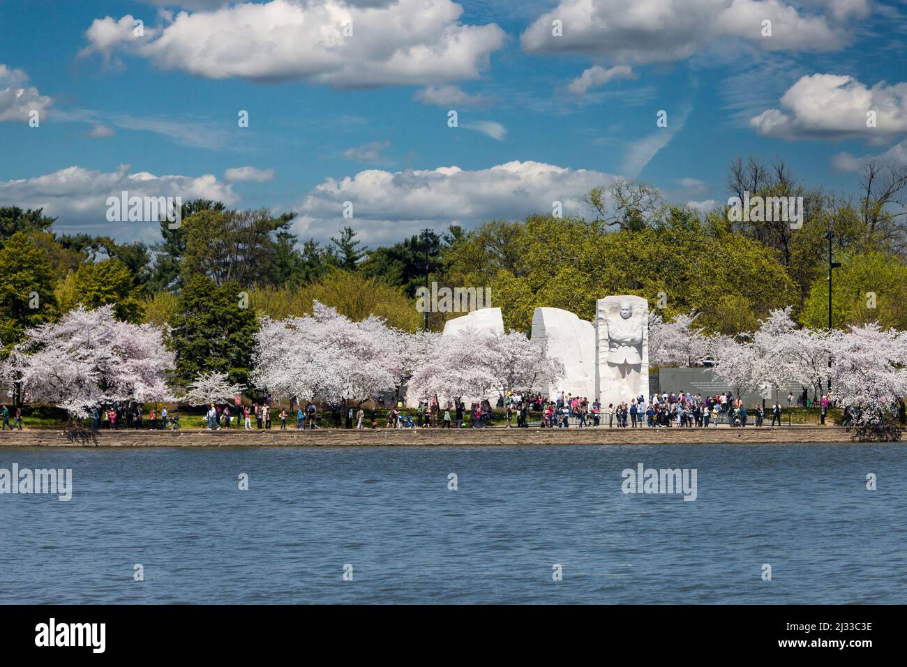 Washington d c spring blossoms hi-res stock photography and images - Alamy