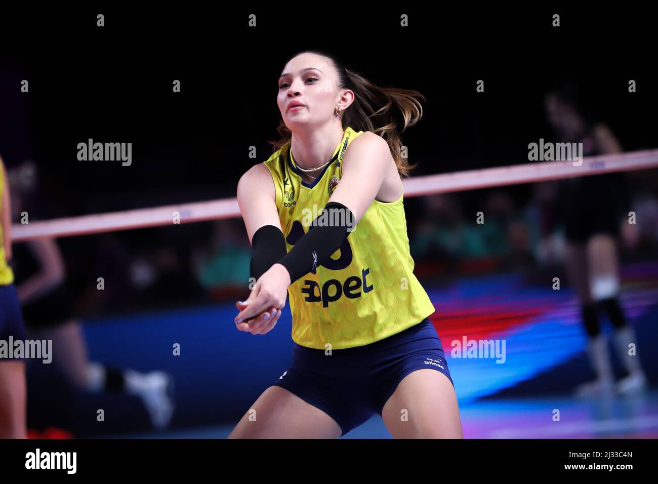 Ipar ozay kurt hi-res stock photography and images - Alamy