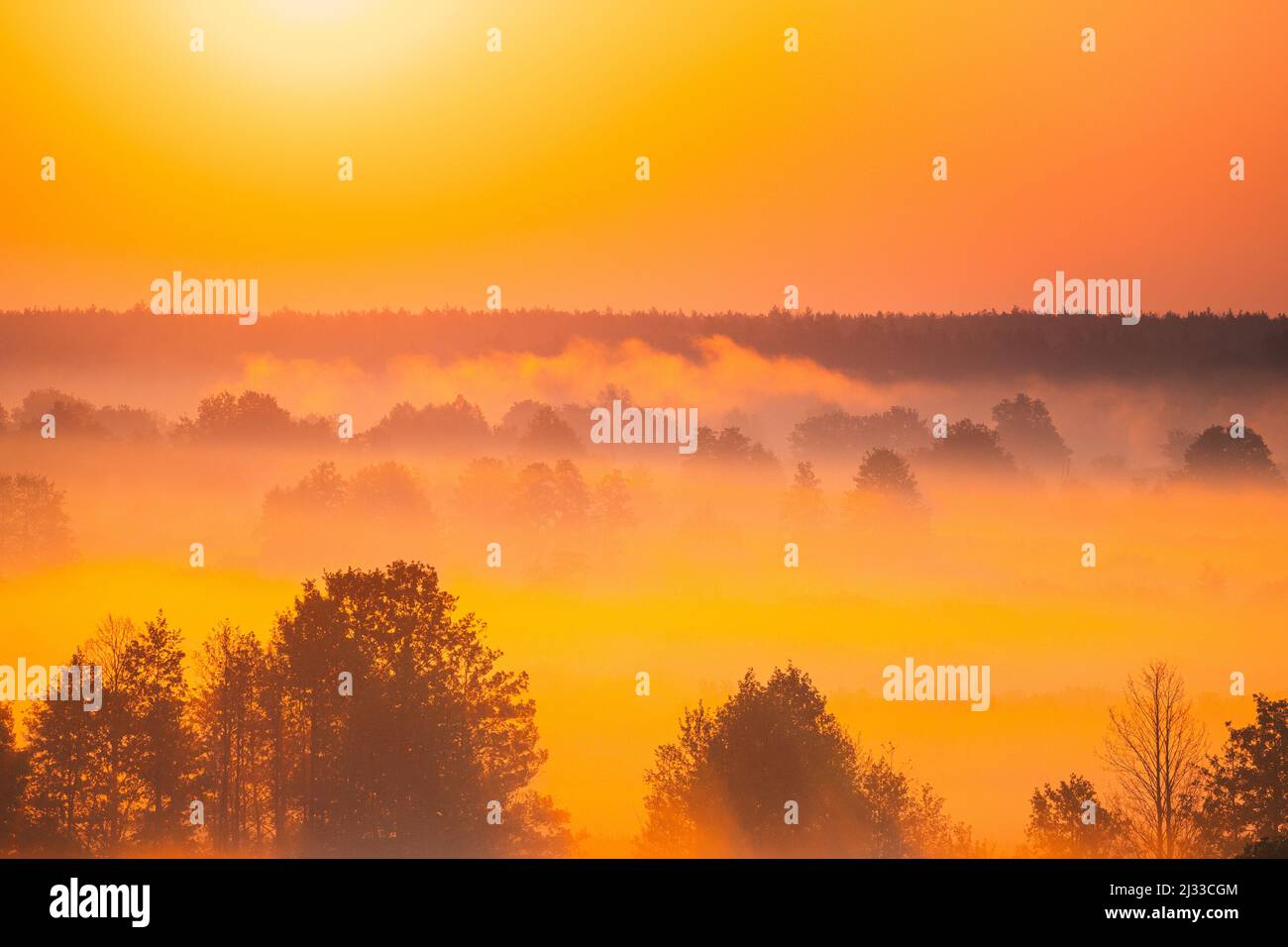 Sunny weather in park hi-res stock photography and images - Alamy