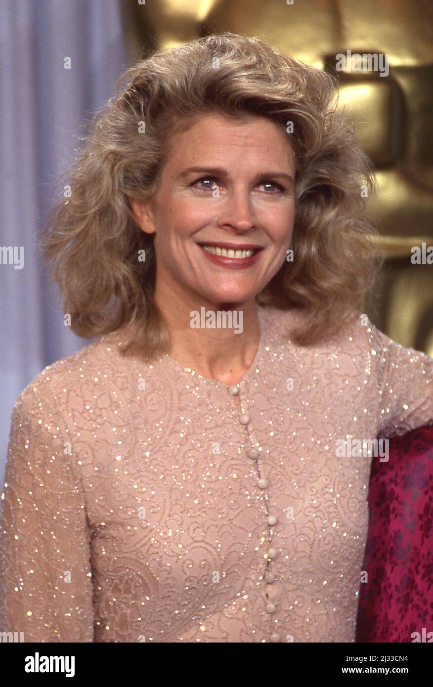 Candice Bergen Circa 1980's Credit: Ralph Dominguez/MediaPunch Stock ...